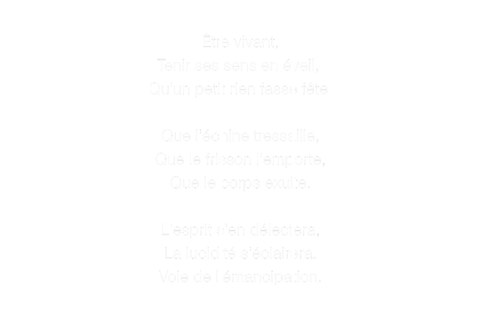plaisirs plaisirs